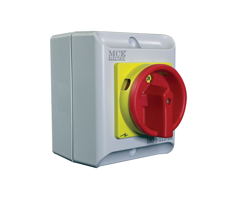 2 Pole Lockable IP65 Surface Mount Isolator – Maple Leaf Electrical ...